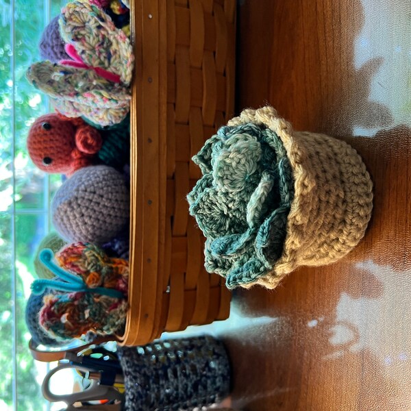 Crochet Succulent Coaster Pattern - Etsy