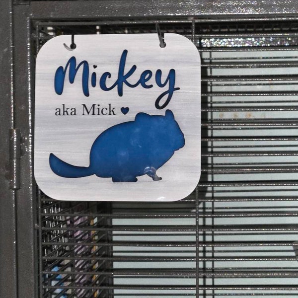 Guinea Pig Name Tag, Guinea Pig Accessories, Pet Tag, Guinea Pig ...