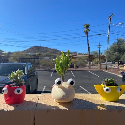 Pikmin Planter Pots 3D Printed - Etsy