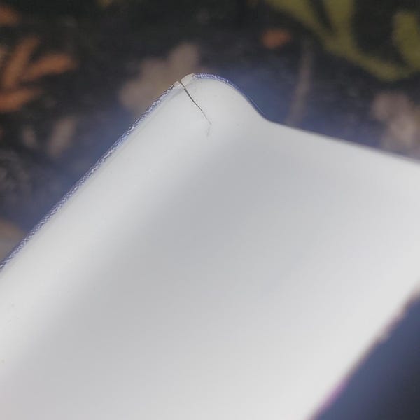 Whale Shark Scatter Coral Reef AirPod AirPod Pro Keychain Case Cover ...