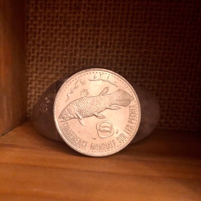 1 Comoros Coelacanth Coin 5 Francs 1992 Picked Randomly From Lot Matte ...