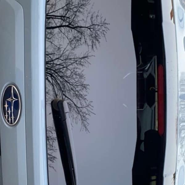 Environmental Bumper Sticker - Everything is Connected - Bumper Sticker ...