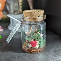 Sml Zelda BOTW Inspired Personalised Korok in a Glass Bottle (G) Gaming ...