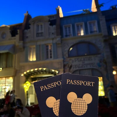 PRINTABLE PDF Drinking and Eating Around the World Showcase Passport - Etsy