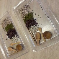 Large Double Sided Flisat Colour Sorting & Counting Insert, Flisat ...