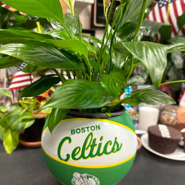 Mini Pink Basketball Planter | Hypebeast Decor | Sports Gift | Nike ...