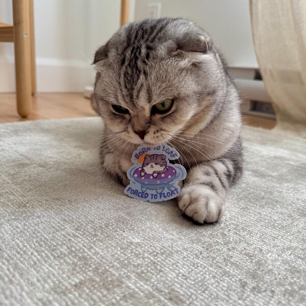 Boba Bubble Tea Cat Acrylic Keychain Charm With Sparkles | Gift for Cat ...