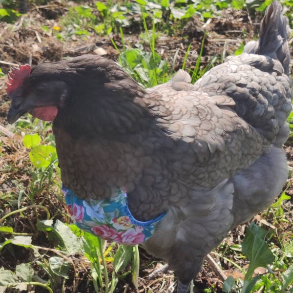 Chicken Bra, Crop Support, Pendulous Crop Support, Crop Bra, Hen Bra ...