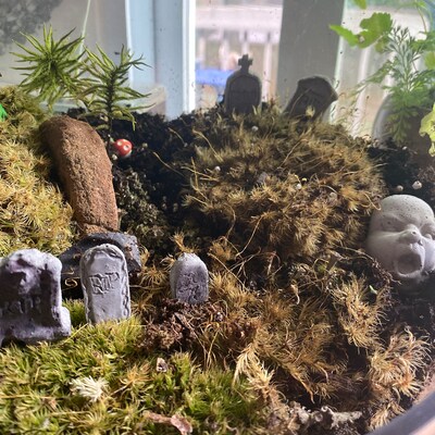 Tiny Mini Cemetery Headstone Tombstone Concrete Potted Plant Terrarium ...