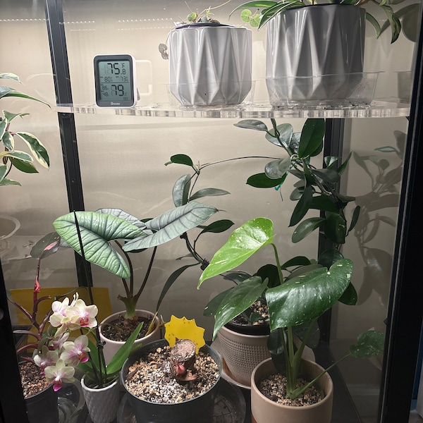 Milsbo Tall Set of 3 Sizes Shelves for IKEA Indoor Greenhouse Cabinet ...