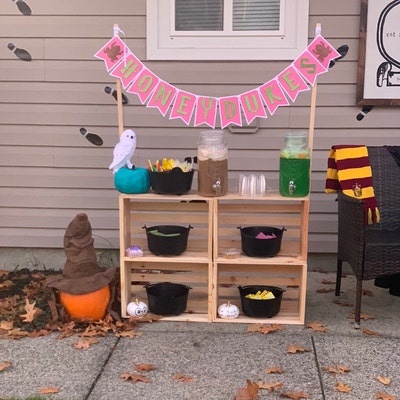 Printable Girl Scouts 2024 Leap Year Activities Leap Year Fun Patch Leap Year Time Capsule Leap ...