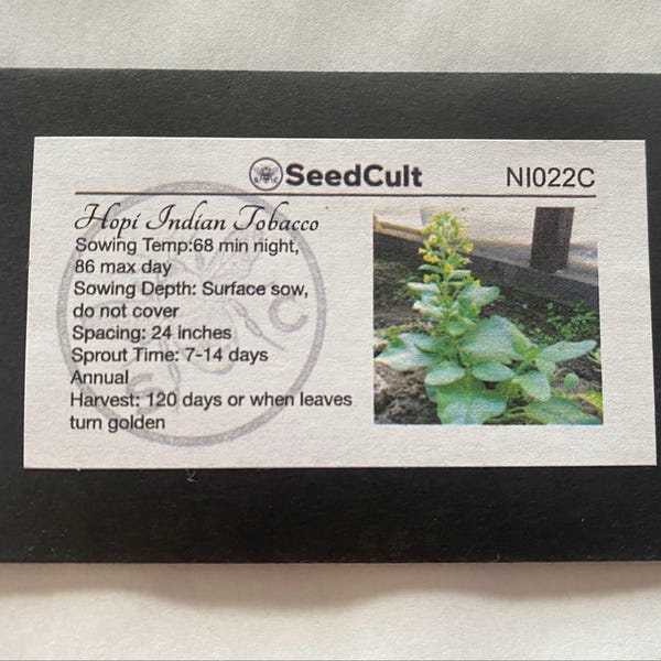 Bulk Hopi Indian Ceremonial Tobacco Seeds, Nicotiana Rustica NI022C - Etsy
