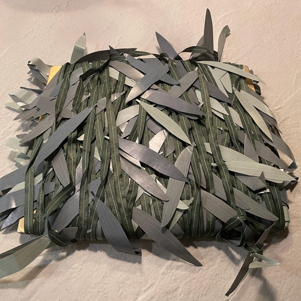 Bug Party Balloon Arch With Card Bugs|orange, Cream, Green & Blue ...