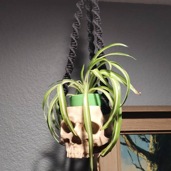 Macrame Skull Plant Holder | Skeleton Skull Pot Holder | Halloween ...