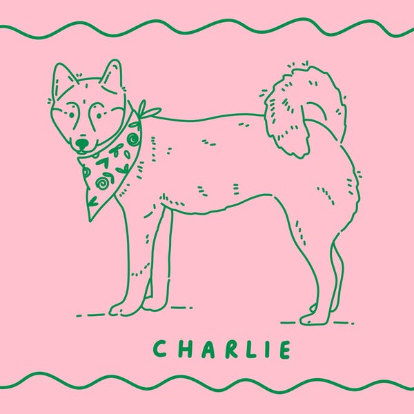 Custom Dog Portrait Custom Badly Drawn Pet Art Personalized Badly Drawn ...