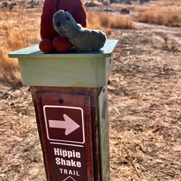 Pocket Pickle Sensory Comfort, Emotional Support Pickle Pet, Autism Toy ...