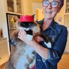 Maga Cat Hat a Maga Hat for Your Cat - Etsy