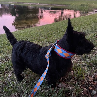 Faux Fur Tug Toy Dog Tug Sport Tug Dog Agility Tug - Etsy