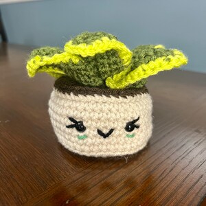 Dwarf Snake Plant Crochet Pattern - Etsy