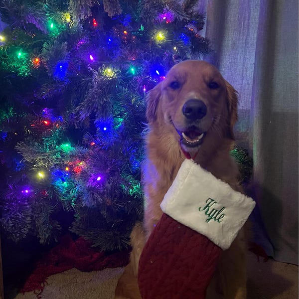 10 Wildflowers Designs Embroidery, Digital Machine Embroidered ...