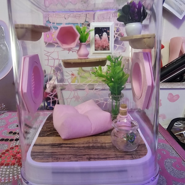 Pink Paradise Jumping Spider Terrarium: Customizable Enclosure ...