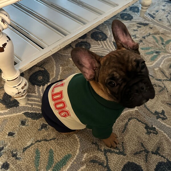 Fabulous Fido Dog Warm Sweater, French Bulldogs Winter Wool Clothes ...