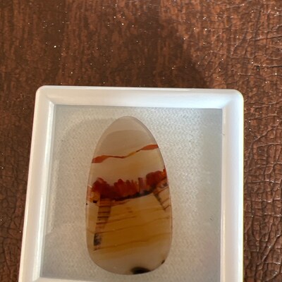 Stromatolite-microbialite Puy De Dôme France Display Specimen 11x9 Cm ...