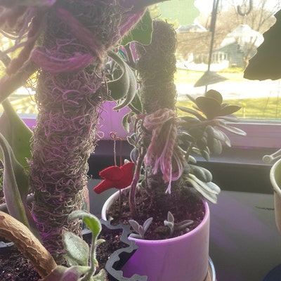 Macrame Plant Trellis Handmade Natural Trellis for Plants - Etsy