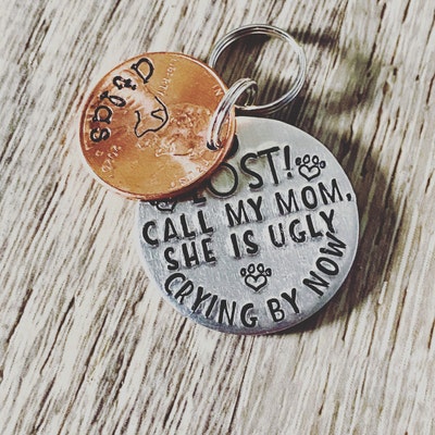 Hand Stamped Personalized Penny Pet ID Tag, Custom Funny Pet ...