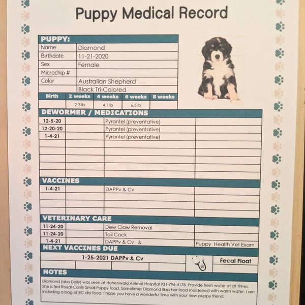 Puppy Medical Records for Breeders and Rescues- Litter Records - Etsy