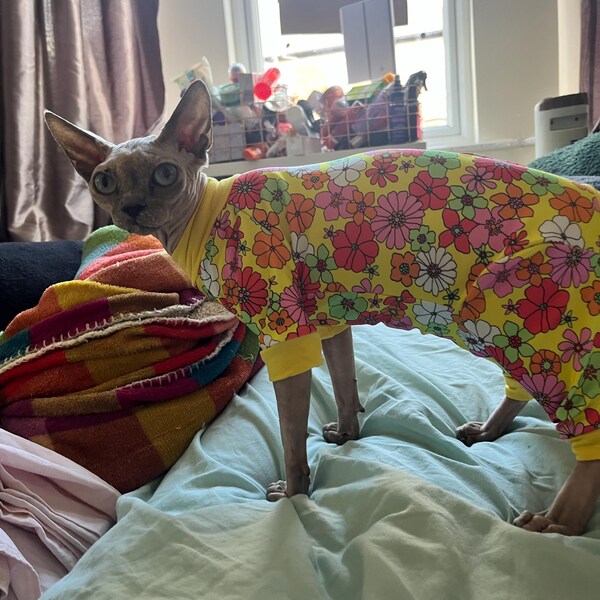 Sphynx Cat Clothes, Clothes, Long Sleeves Sphynx Cat Jumper, Sphynx Clothes, Devon Rex Clothes ...