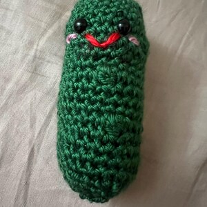 PATTERN ONLY, Easy Pickle Crochet Pattern, Instant DOWNLOAD - Etsy