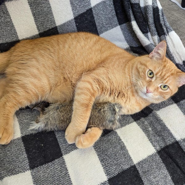 Hemp Fabric and Feathers Cat Kicker Toy With Catnip by Your Choice ...