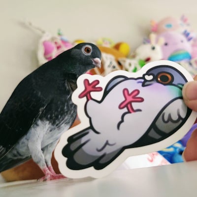 White Budgie Clear Vinyl Sticker - Etsy