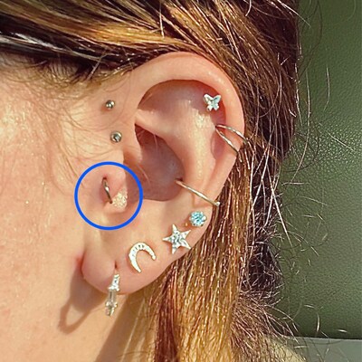 Ear Cuff Conch Cuff Ear Wrap Fake Conch Piercing 14K Yellow - Etsy