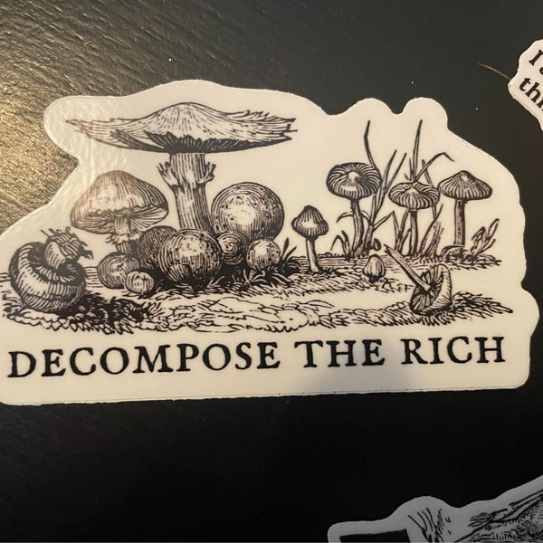 Raven Shirt Spanish Crow Cuervo Bird Witchy Language Dark Academia ...