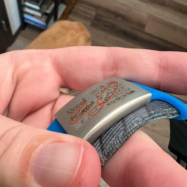 Qr Code Smart Slide on Bone Pet Tag, Scannable Martingale Silent Dog ...