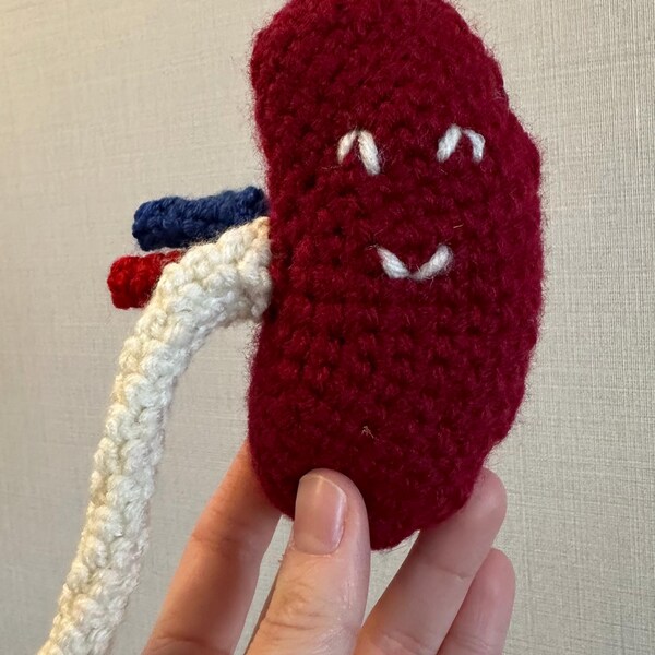 Kidneys Crochet Pattern, Kidney Crochet Pattern, Kidney Amigurumi ...