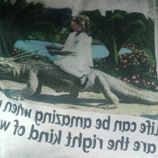 Hawks Mascot School Spirit T-shirt | Comfort Colors | Youth | Adult ...