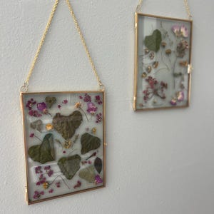 Set of 2 Double Glass Frame for Pressed Flowers, Photos and Artwork ...