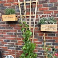 Storage Wooden Boxes Moët & Chandon Champagne Crates Natural Finish ...