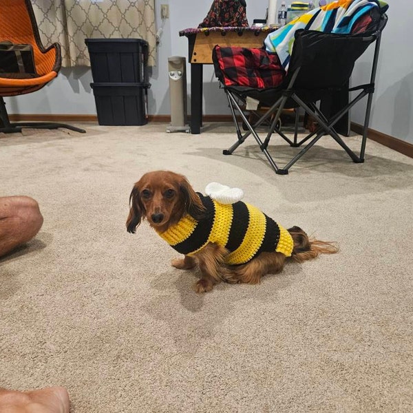 Bumblebee Dog Sweater / Halloween Costume Available in 4 Sizes - Etsy