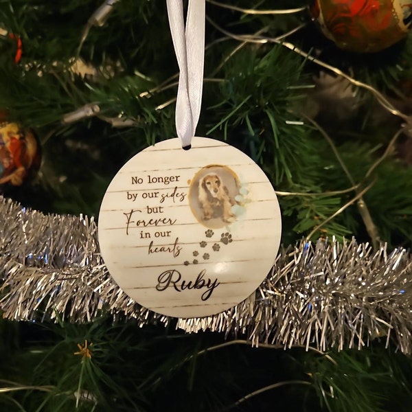 I Am That Little Robin Memorial Pebble Robin Art Poem Frame ...