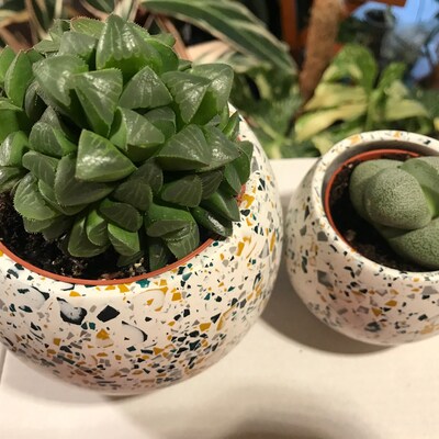 Terrazzo Plant Pot, Plant Lover Gift, Colourful Home Decor, Eco ...