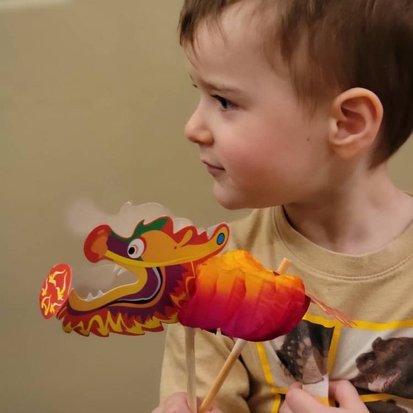 DIY Dragon Dance Hand Puppet Kit: Chinese New Year Craft (29” Dragon ...