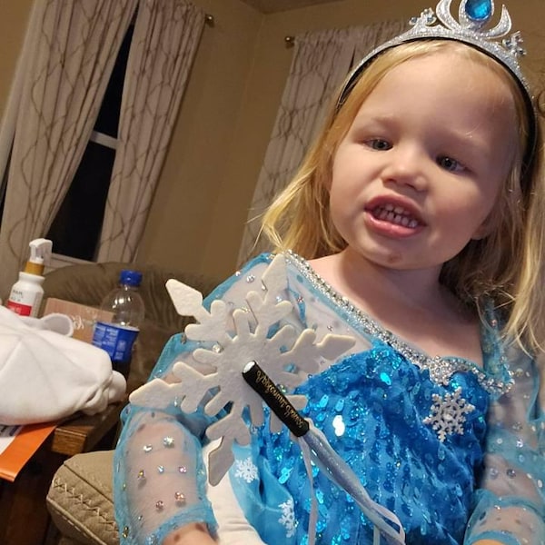 Elsa Frozen Dress PERSONALIZED GIFT SET Ice Queen Elsa Costume Snow ...