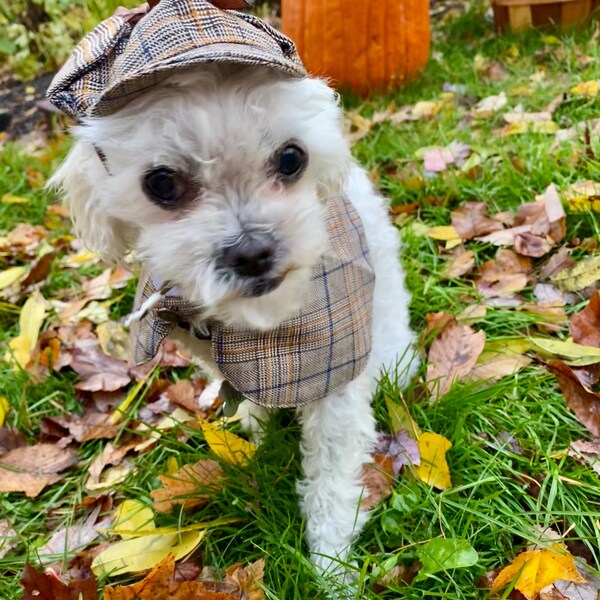 Dog Detective Costume Halloween, Deerstalker Hat and Cape for Large ...