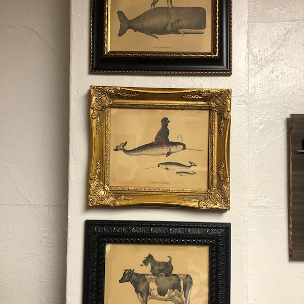 Scottish Terrier Scottie Dog Riding Cow Vintage Collage Art Print on ...