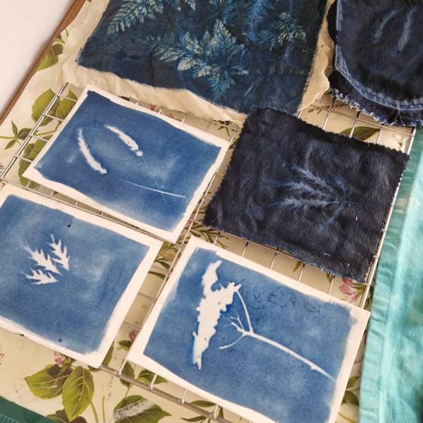 Cyanotype Kit | Make Your Own Blueprints at Home - Etsy UK