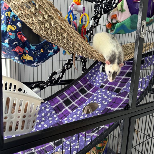 Rat Fall Breaker, Rat Fall Safe, Rat Cage Hammock, Rat Cage, (fall ...
